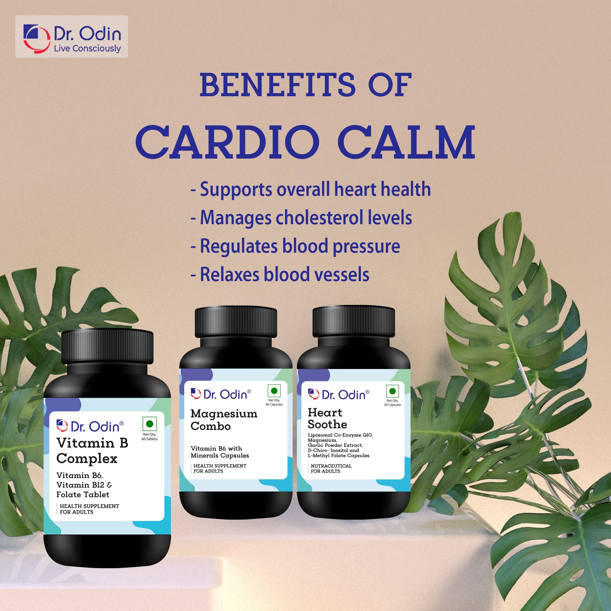 Holistic Wellness & Nutrition Products for a Balanced Life – Dr. Odin